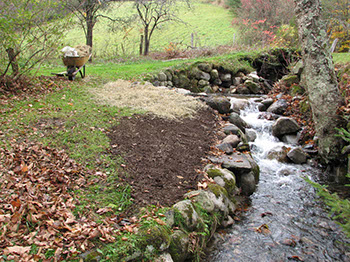 Stream Repair - Live Edge Construction