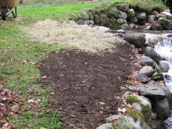 Stream Repair - Live Edge Construction