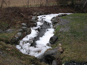 Stream Repair - Live Edge Construction