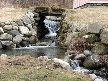 Stream Repair - Live Edge Construction