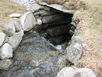 Stream Repair - Live Edge Construction