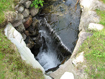 Stream Repair - Live Edge Construction